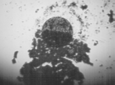 Optical Connector Protector System - TelecomTest Solutions